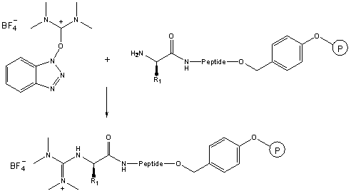 Fmoc Solid Phase Peptide Synthesis – ChemPep